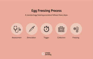 Should I Freeze My Eggs? A Guide to Egg Freezing | Create Fertility