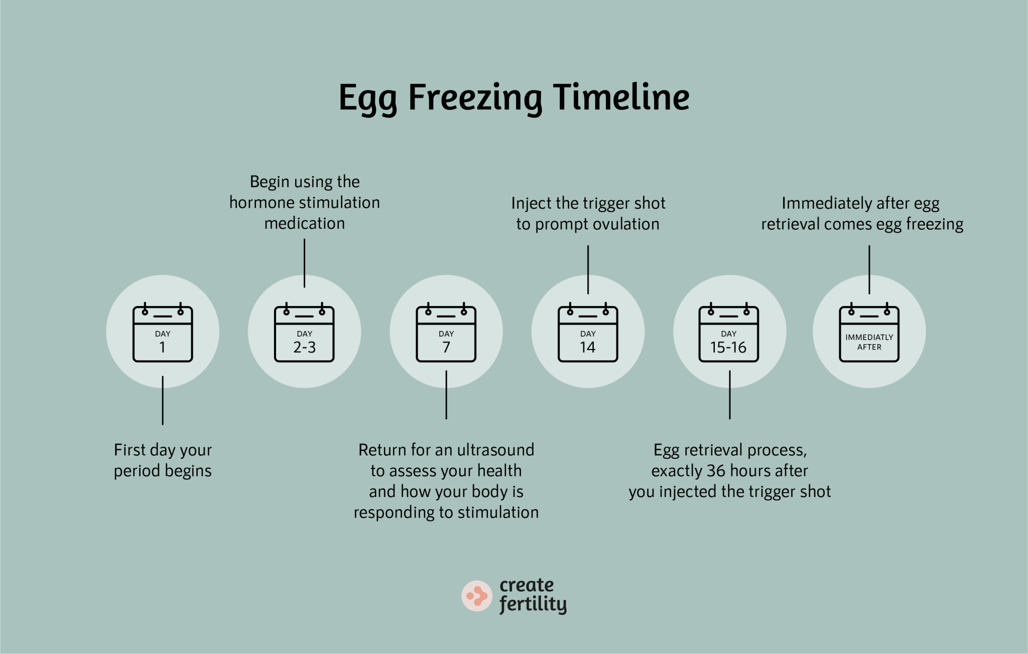 Should I Freeze My Eggs? A Guide to Egg Freezing | Create Fertility