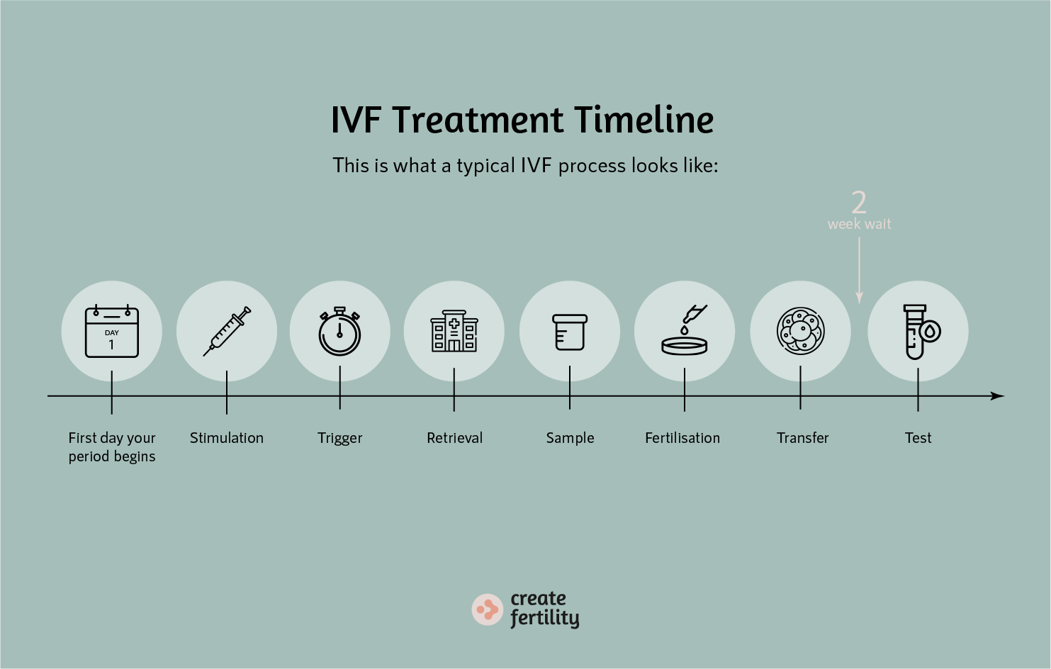 IVF Explained: A Detailed Overview of IVF Treatment | Create Fertility