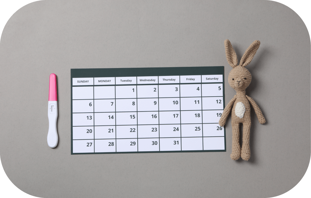 IUI: The Treatment Process Explained | Create Fertility