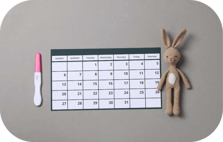 IUI: The Treatment Process Explained | Create Fertility